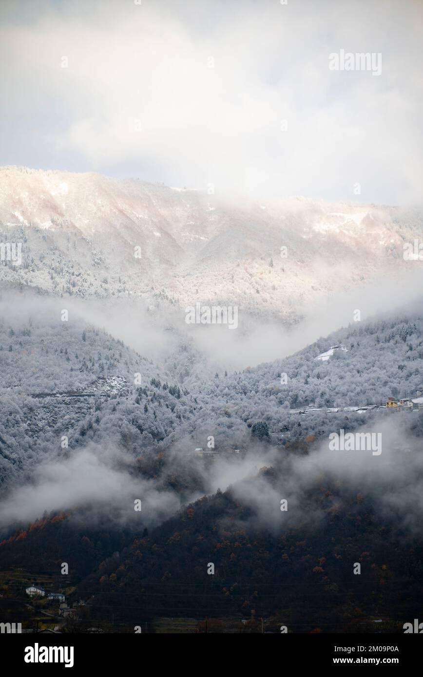 A vertical shot of mountains covered in forests on a cold foggy winter ...