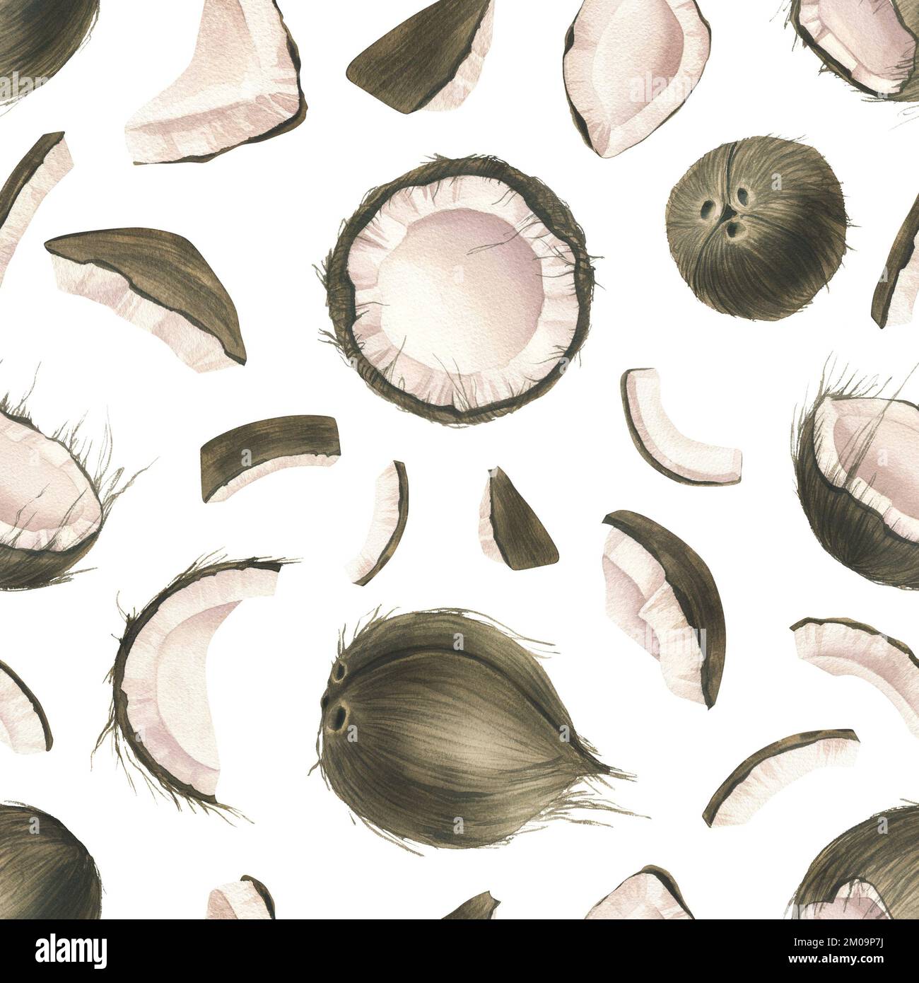 Coconuts are whole and broken, cut into pieces on a white background ...