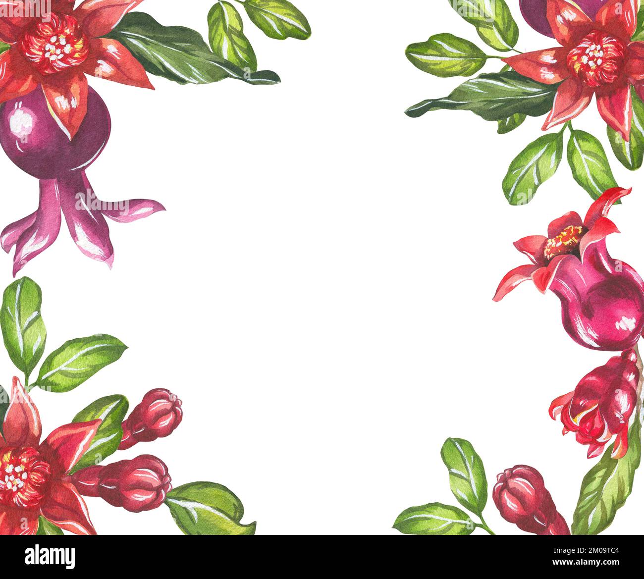 Pomegranate fruit and flowers. Watercolor illustration of pomegranate ...