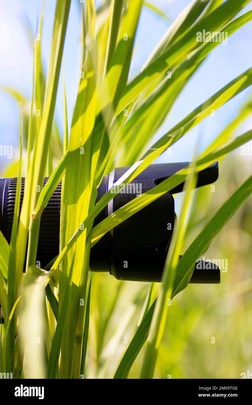 The camera and zoom lens are tuned to capture wildlife in nature ...