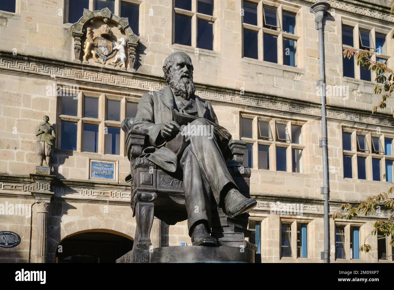 Statue of Charles Darwin outside the school in Shrewsbury where he was ...