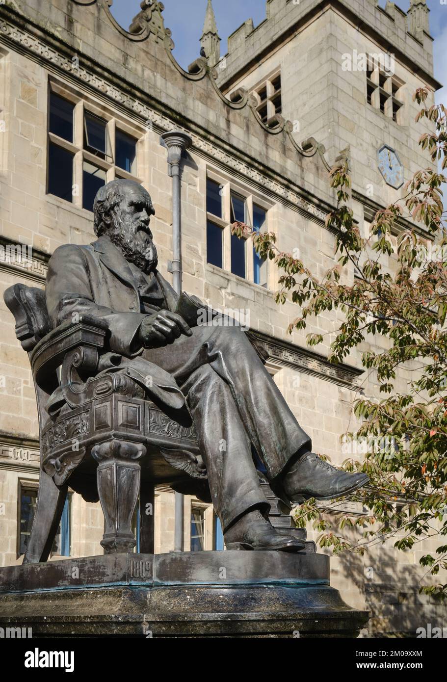 Statue of Charles Darwin outside the school in Shrewsbury where he was ...