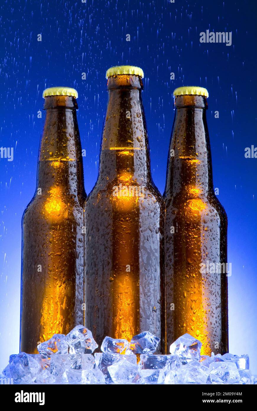 Beer for keeping hi-res stock photography and images - Alamy