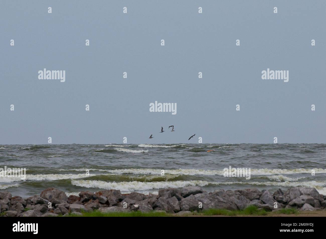Office of the Administrator (Lisa P. Jackson) - Various Images (BP Oil ...