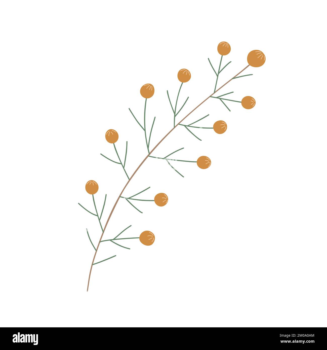 Christmas plant, decorative branch with leaves, orange berries for home ...