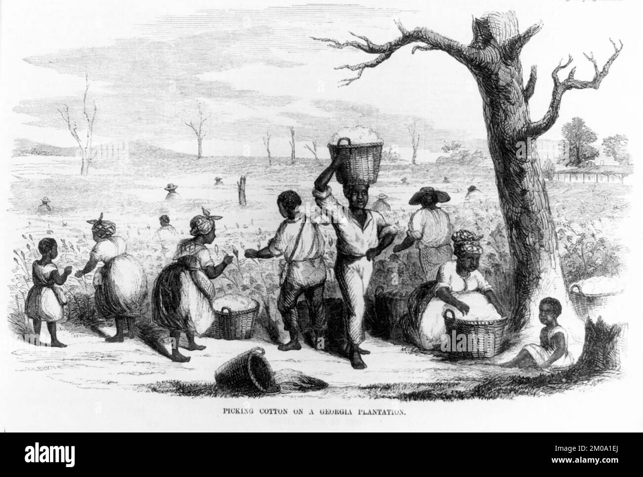 Vintage illustration circa 1858 showing African American men women and ...
