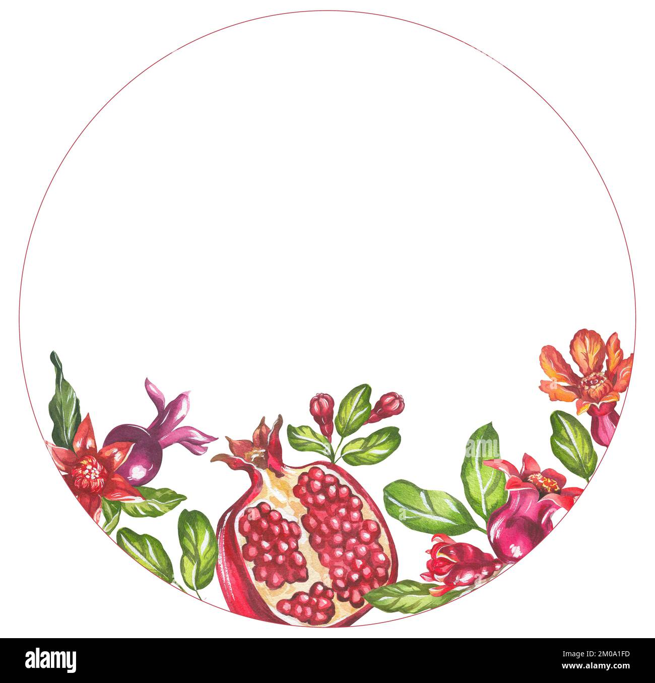 Pomegranate fruit and flowers. Watercolor illustration of pomegranate ...