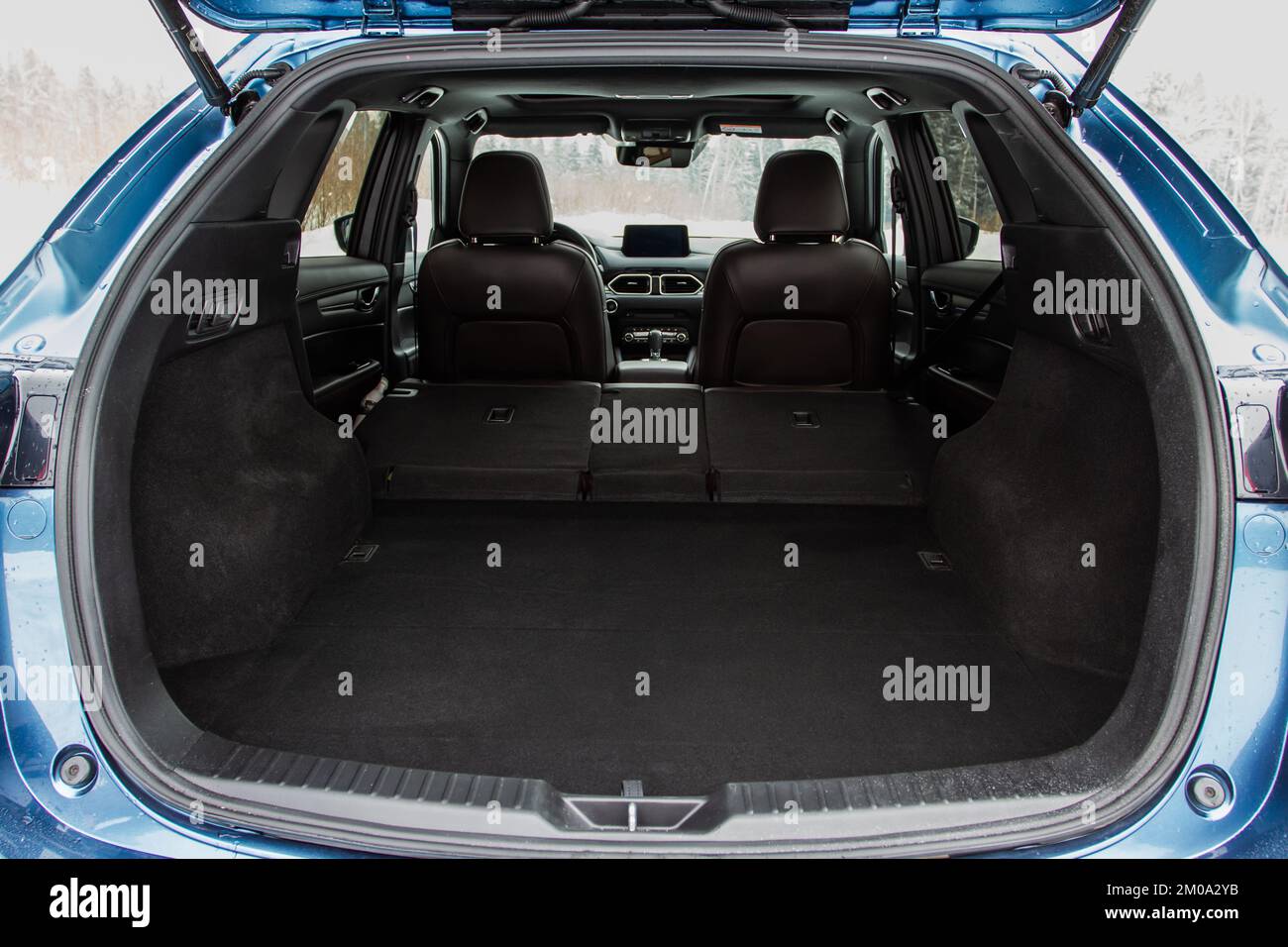 Huge, clean and empty car trunk in interior of compact suv. Rear view ...