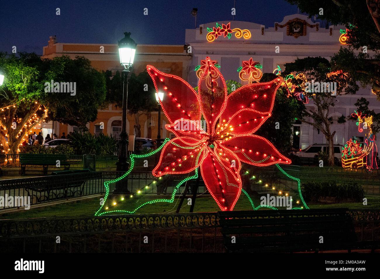 Colorful Christmas decorations in the evening in the Guayama, Puerto ...