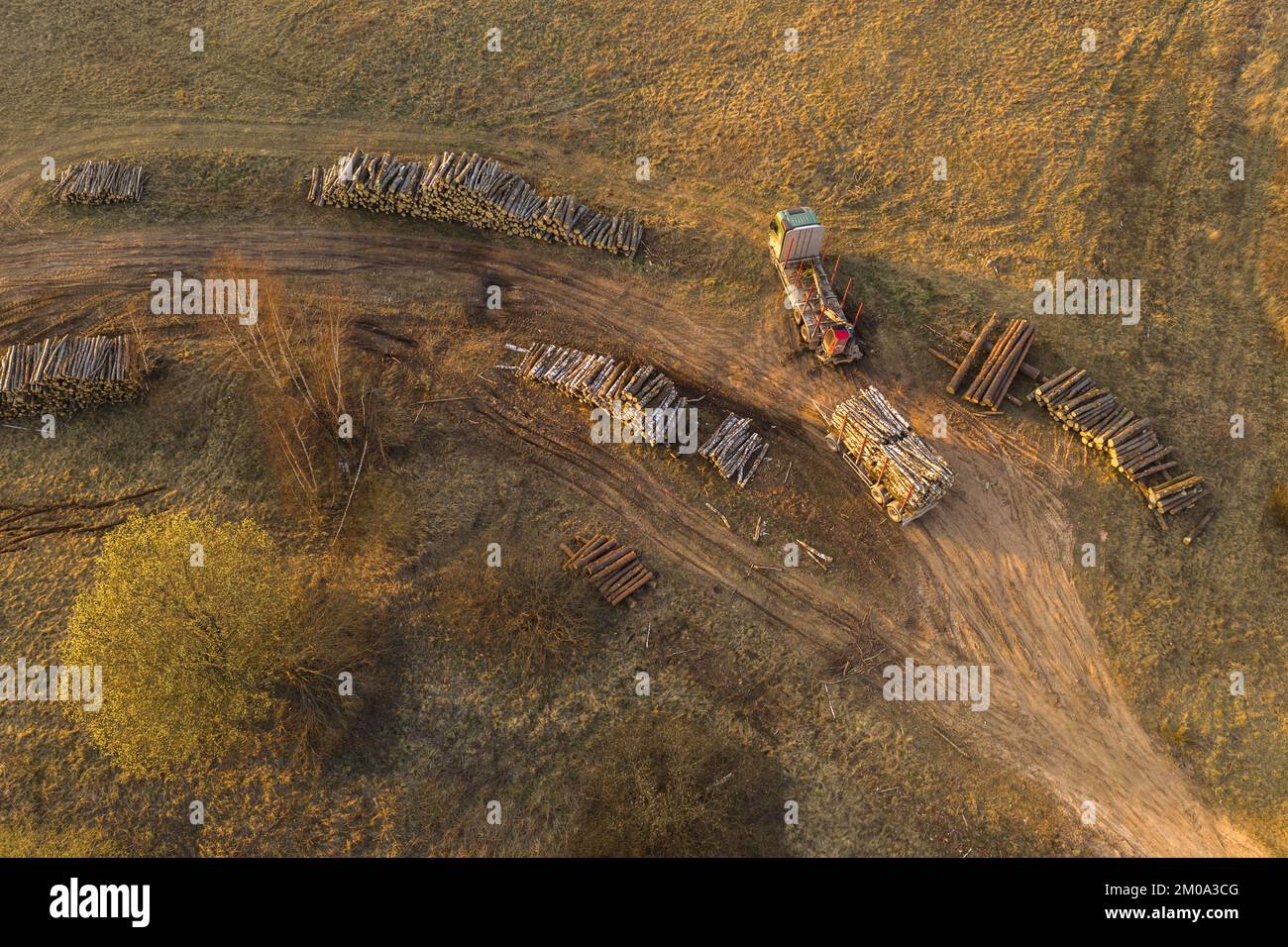 Forestry operation hi-res stock photography and images - Alamy