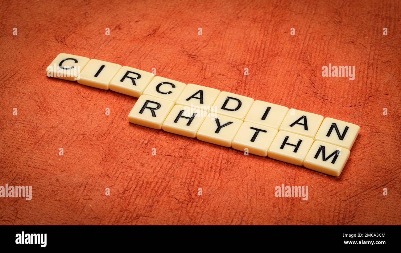 circadian rhythm text in ivory letter tiles against textured bark paper ...