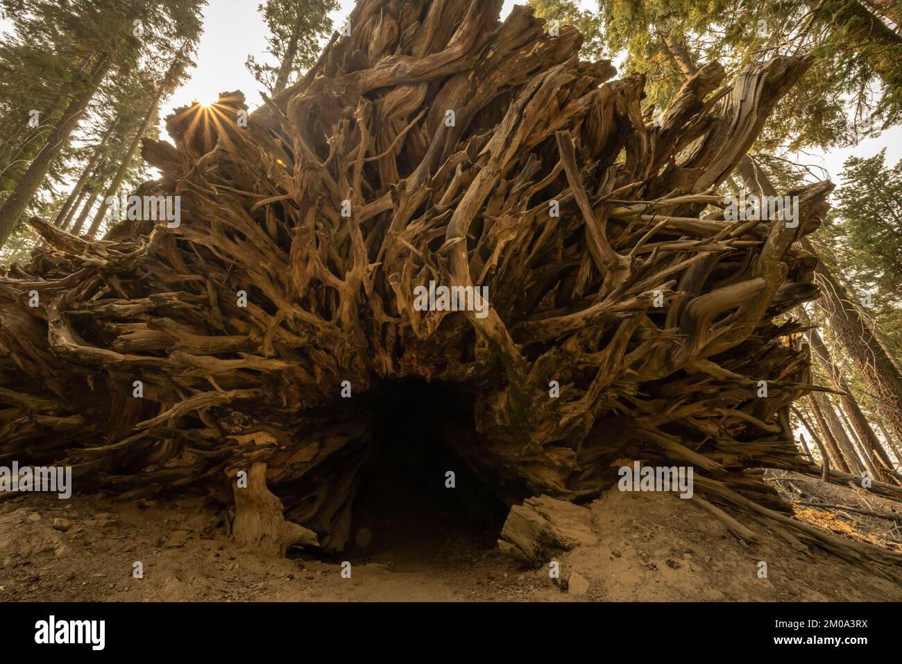 Large cave system hi-res stock photography and images - Alamy