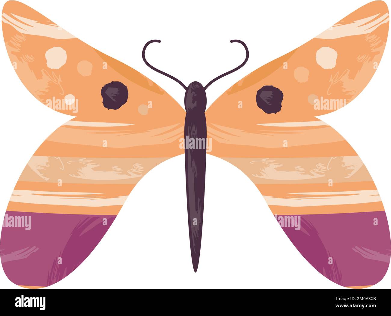 butterfly boho style Stock Vector Image & Art - Alamy