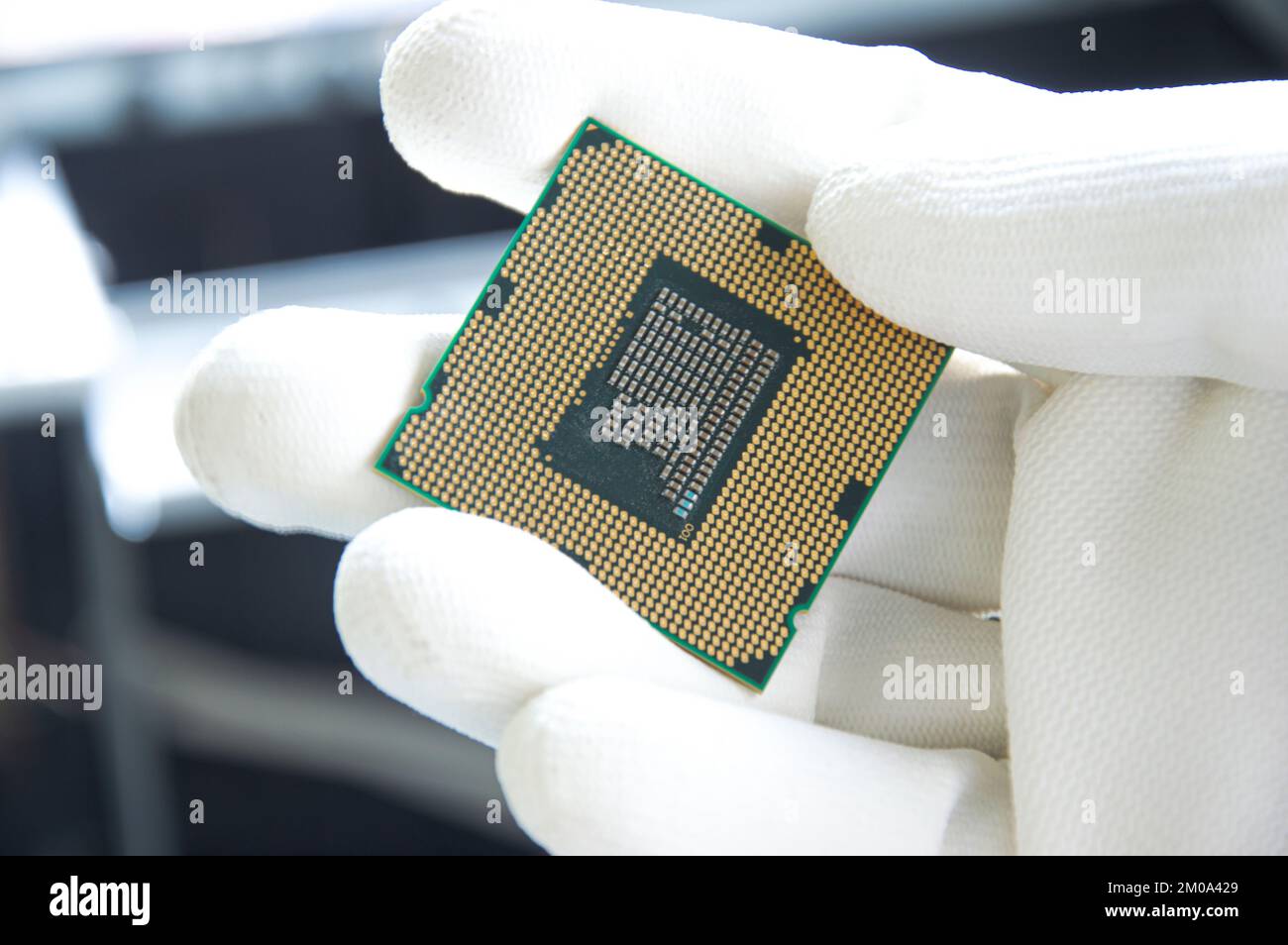 An image of a technician holding a CPU in his hand Stock Photo - Alamy