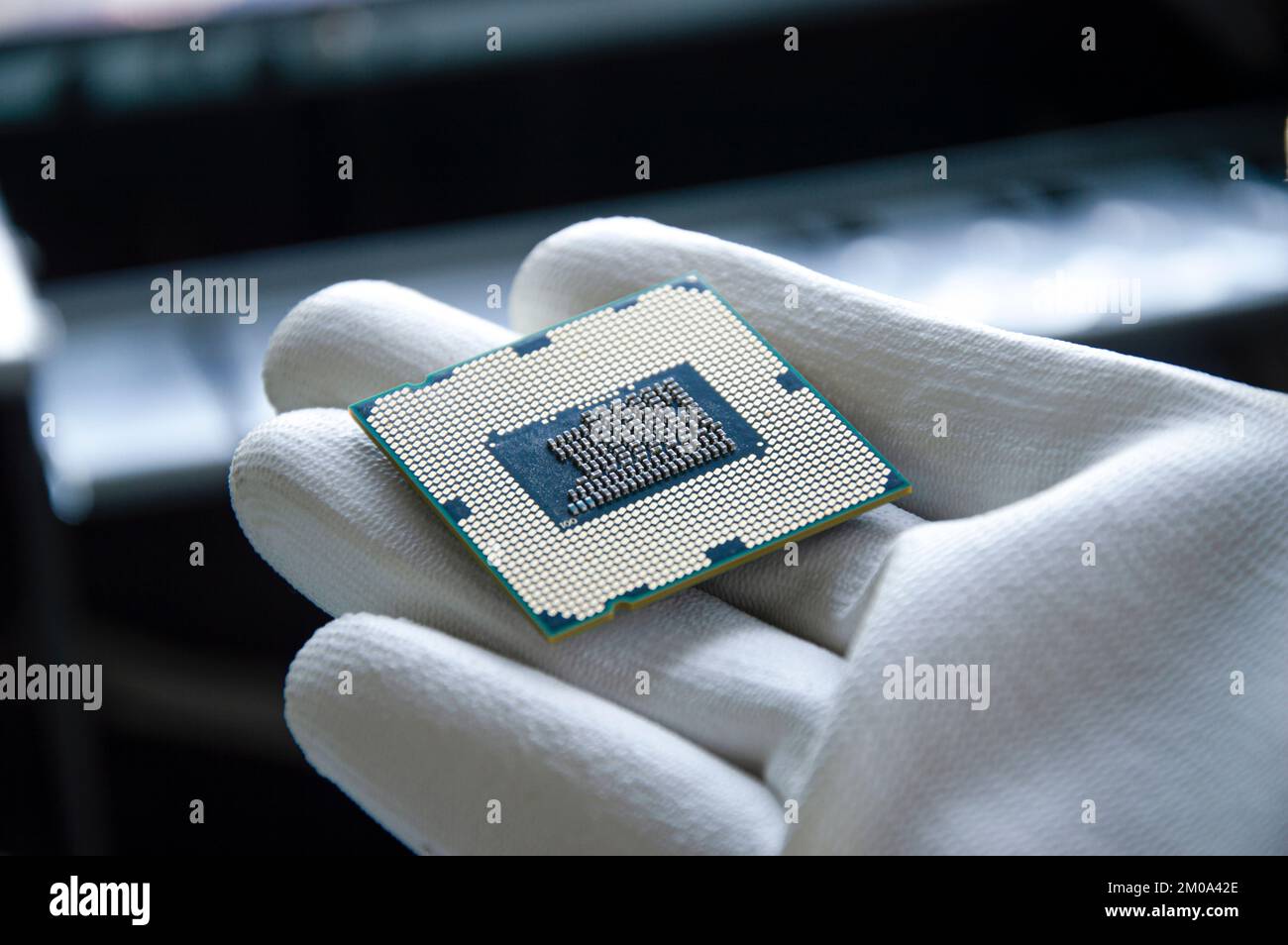 An image of a technician holding a CPU in his hand Stock Photo - Alamy