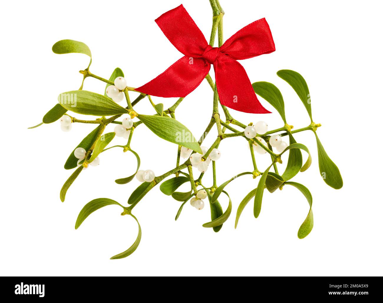 Mistletoe with red bow isolated on white background Stock Photo - Alamy