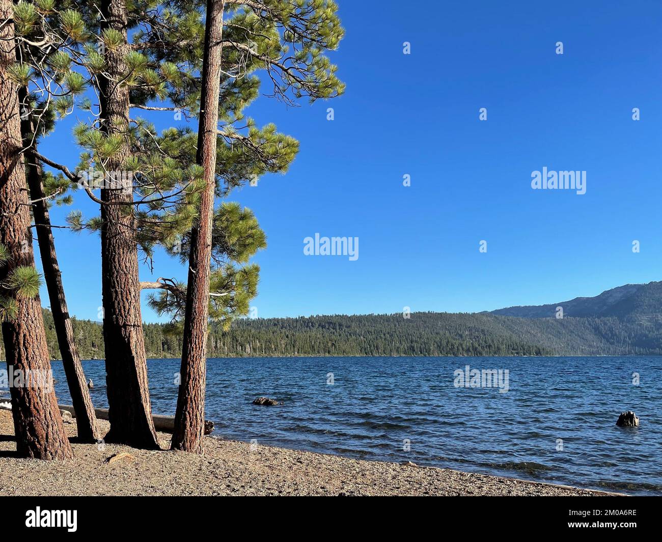 A beautiful view of a rocky beach with trees Stock Photo - Alamy