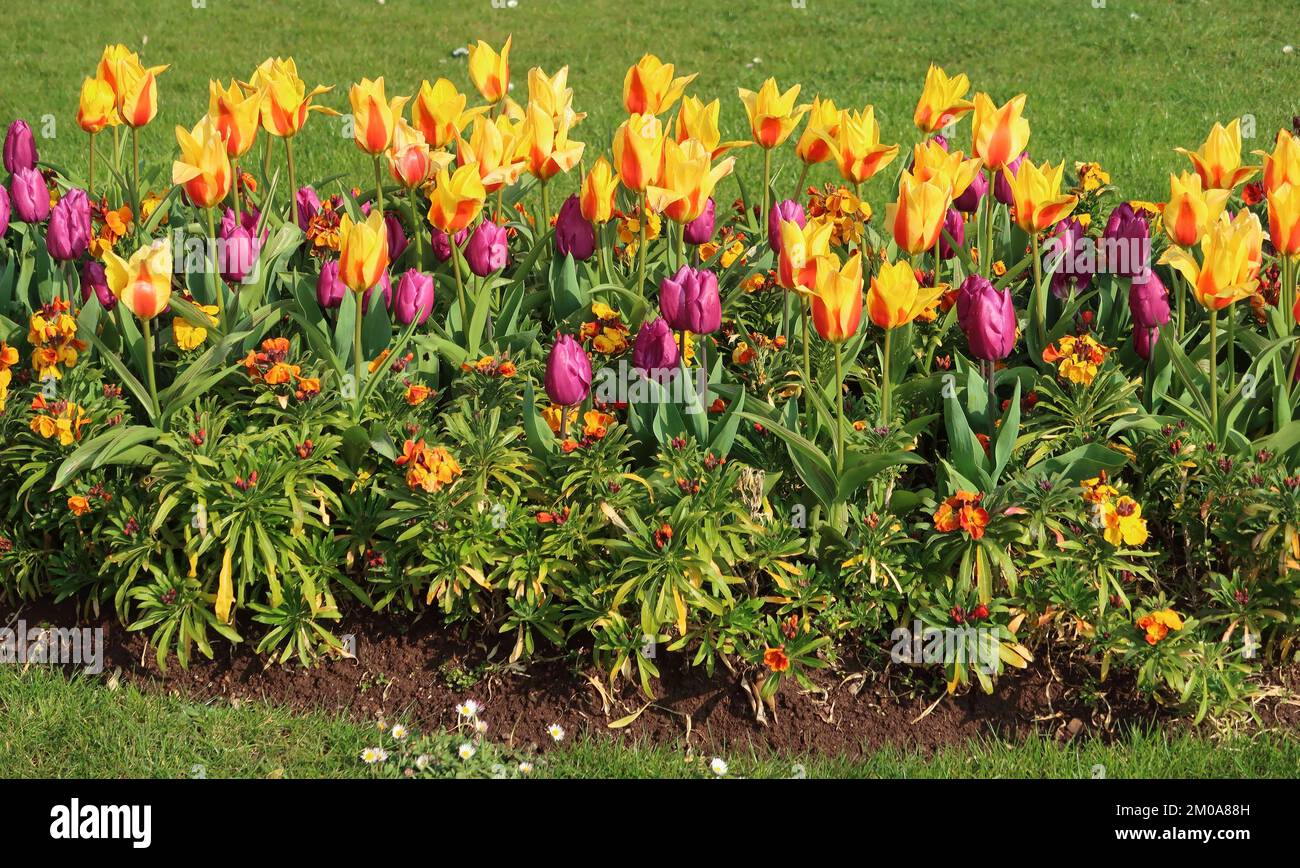 Colourful flower beds in princess gardens hi-res stock photography and ...