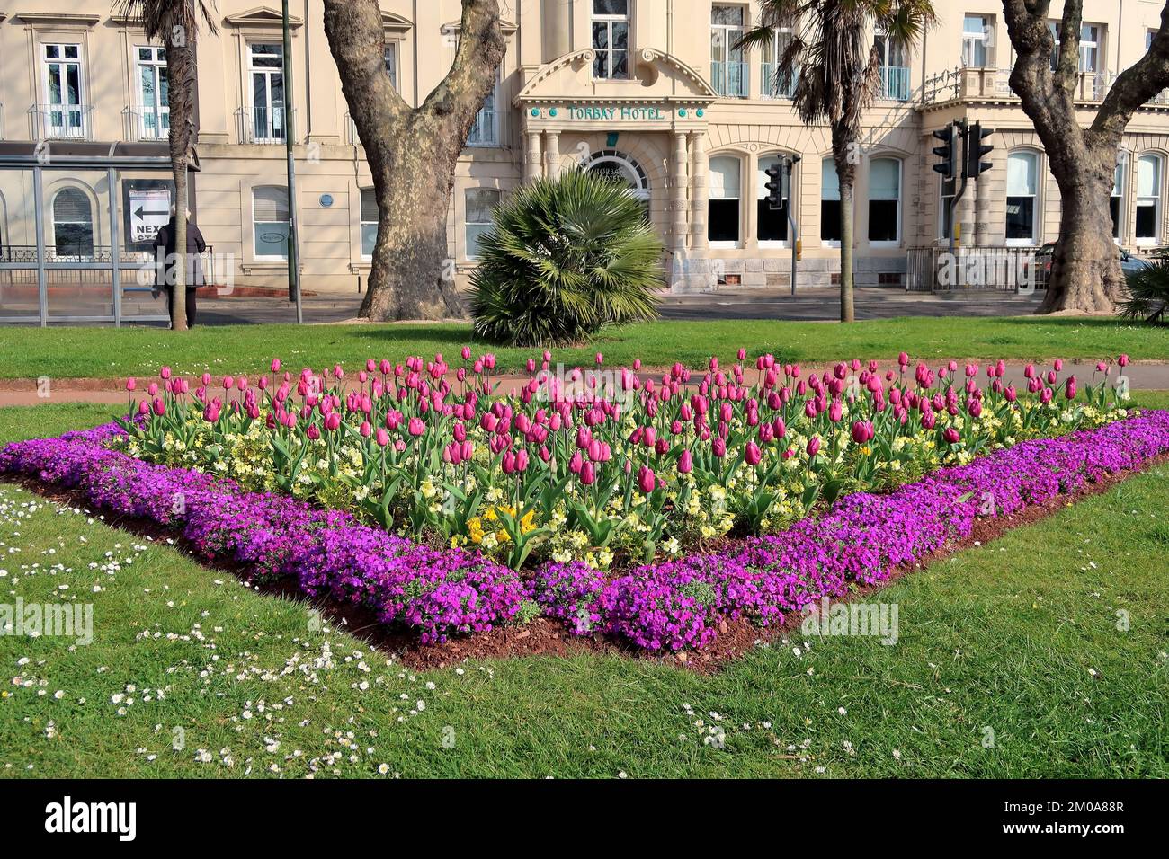 Spring flowers in Princess Gardens, Torquay Stock Photo - Alamy
