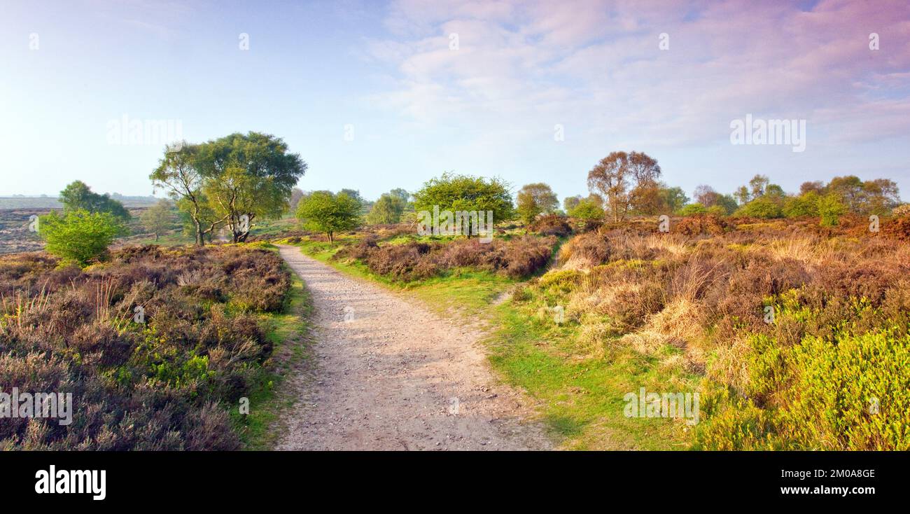 Heart of England Way spring season on Cannock Chase Country Park AONB ...