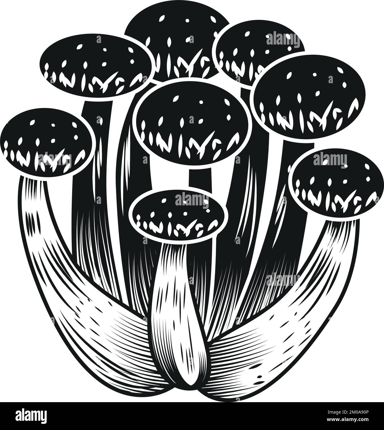 mushrooms icon isolated Stock Vector Image & Art - Alamy