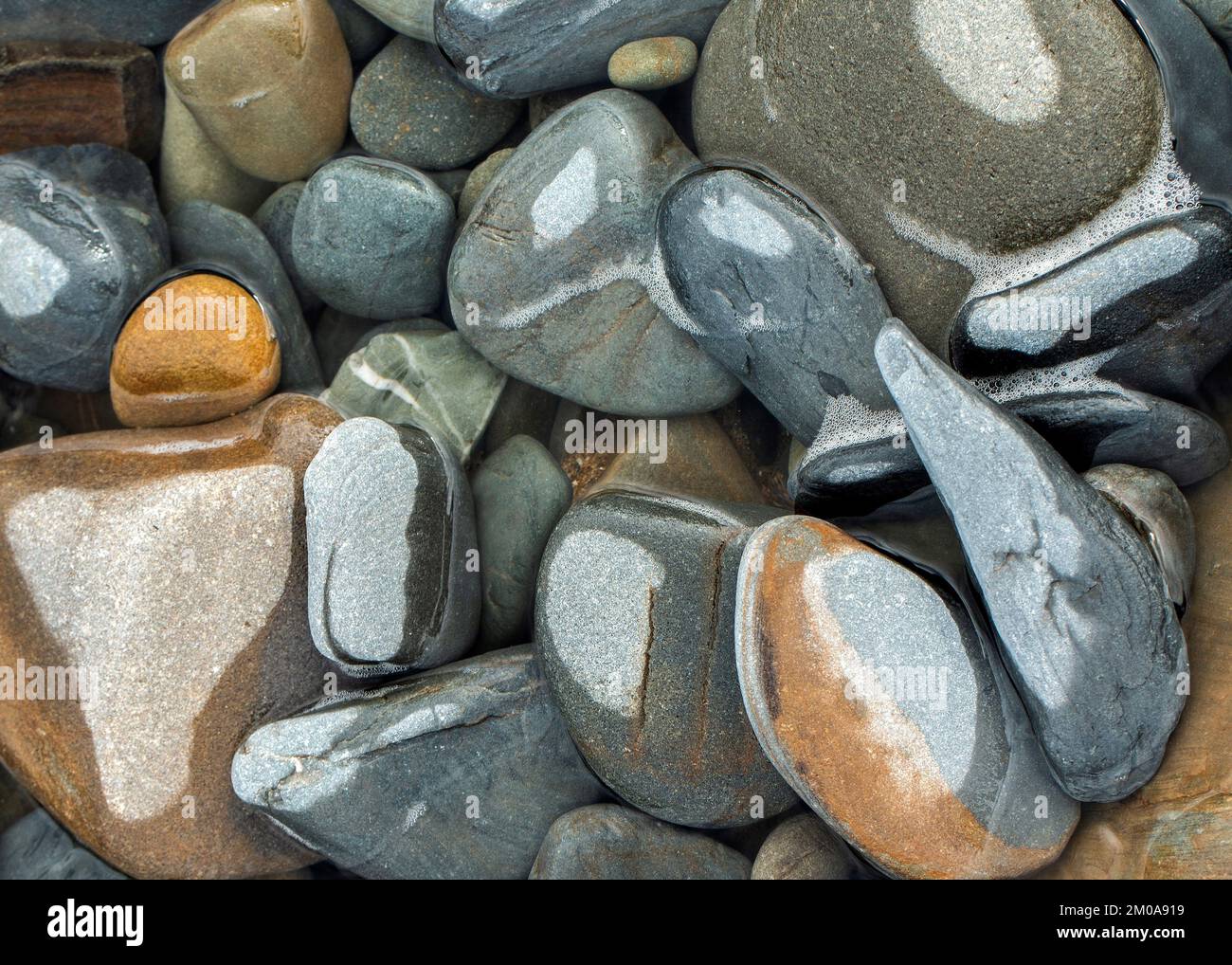 Pebbles on the beach, West Wales Stock Photo - Alamy