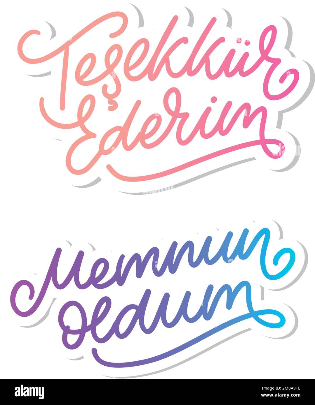 Text in the Turkish: Thank you. Lettering. Ink illustration. Modern ...