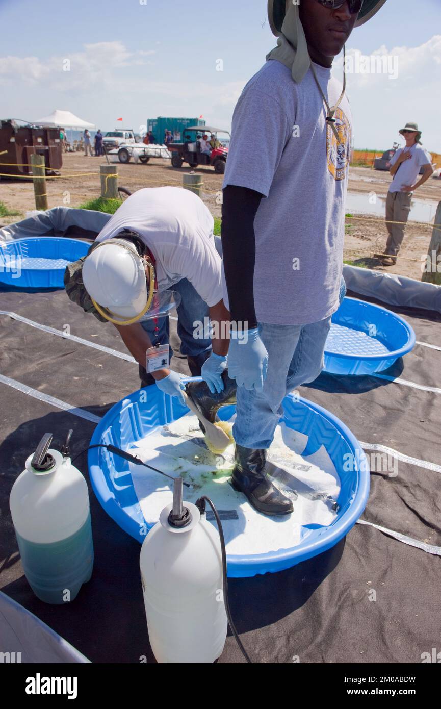 Lisa boom hi-res stock photography and images - Alamy