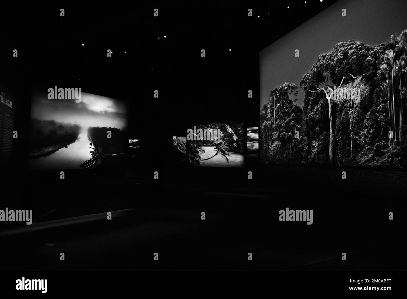 A grayscale shot of a displays with different pictures Stock Photo - Alamy