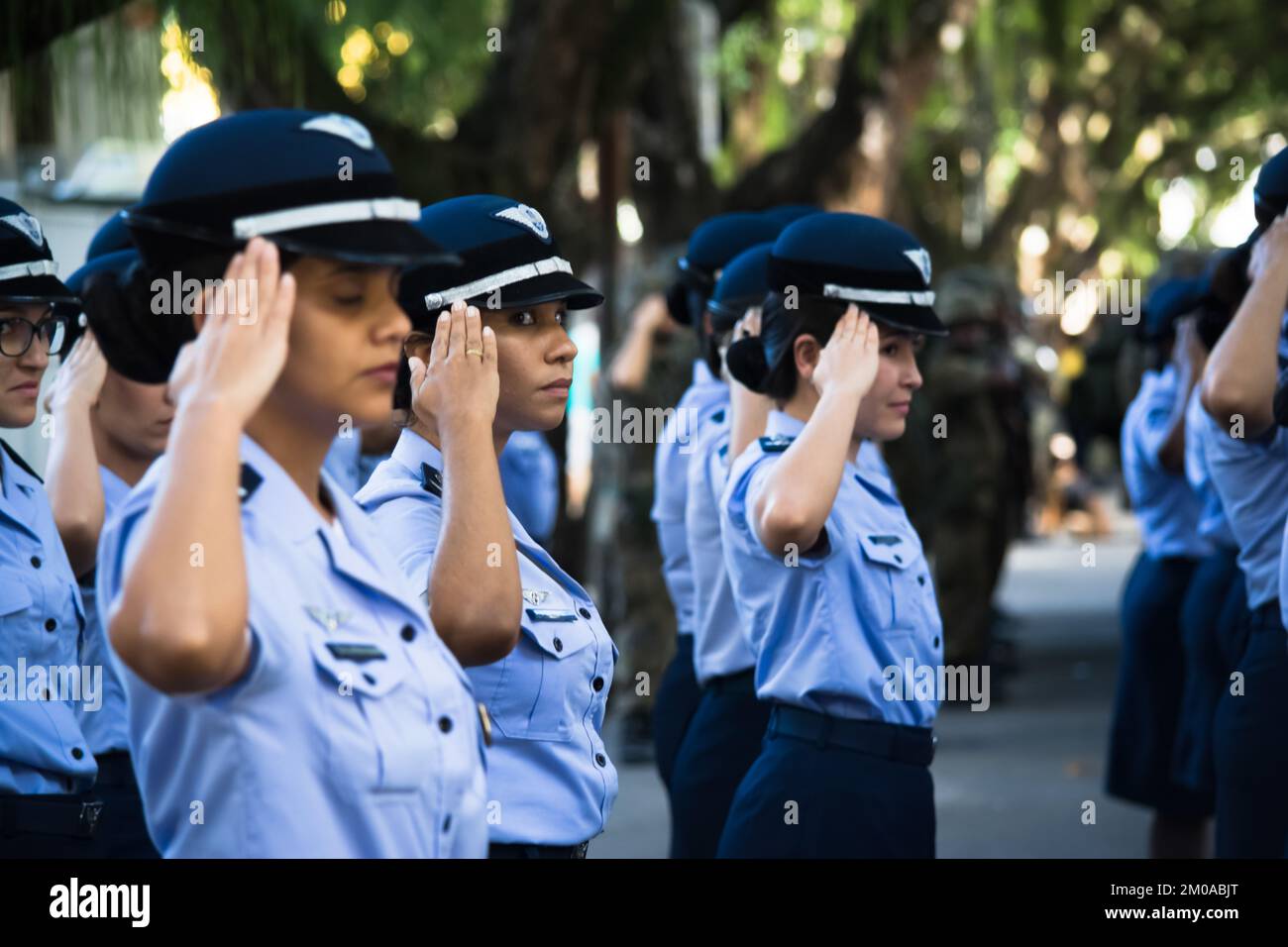 The female soldiers saluting at a military parade in celebration of ...