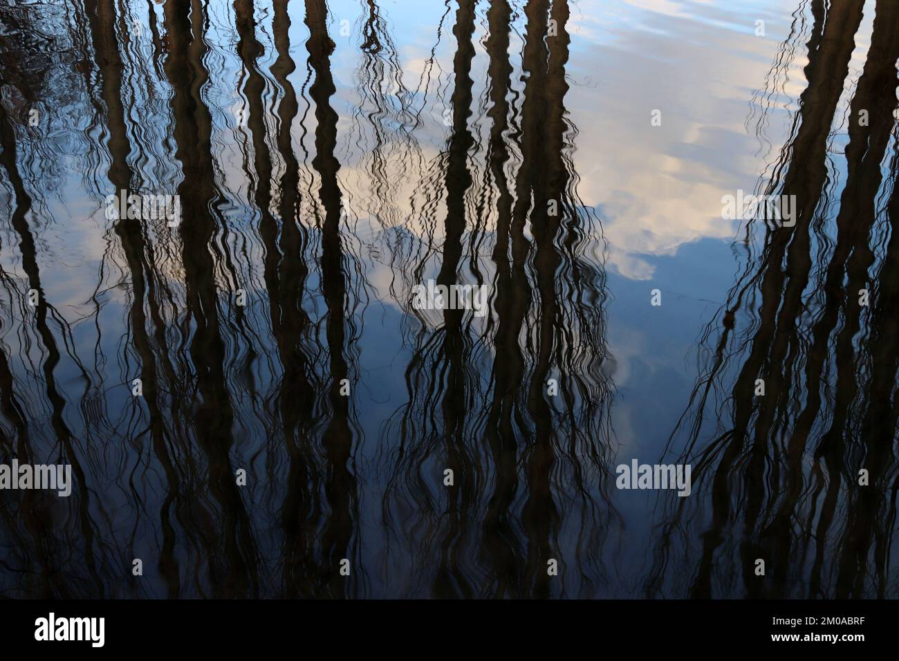 Rippled autumn tree reflection on water hi-res stock photography and ...