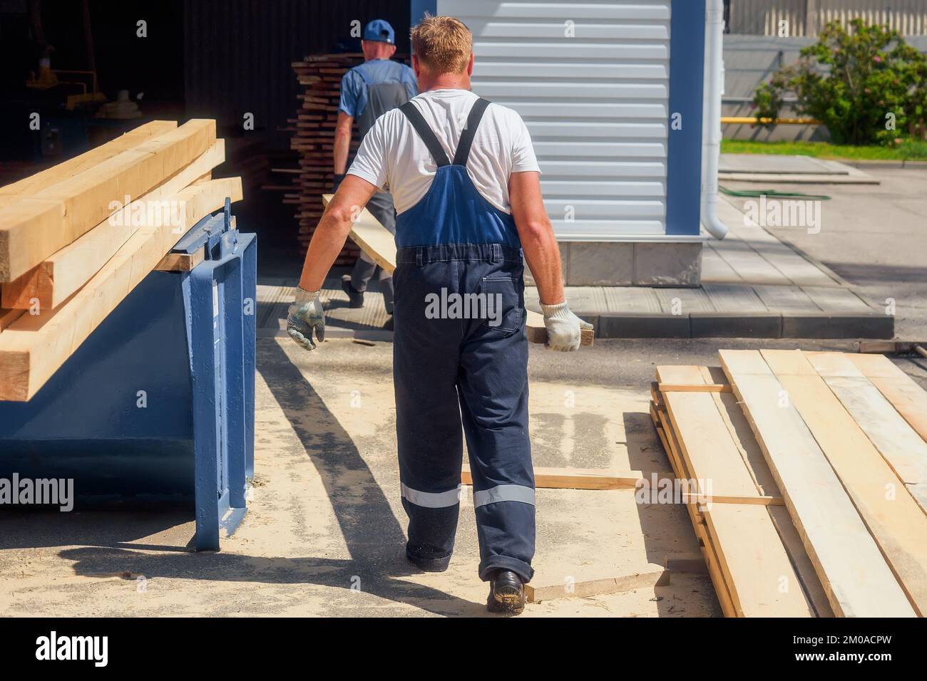 Two workers wear wooden planks on sawmill or in carpentry shop ...