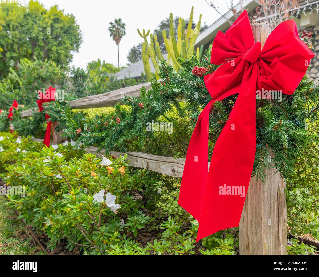 Close up of an evergreen Christmas wreath with a red ribbon hangs on a ...