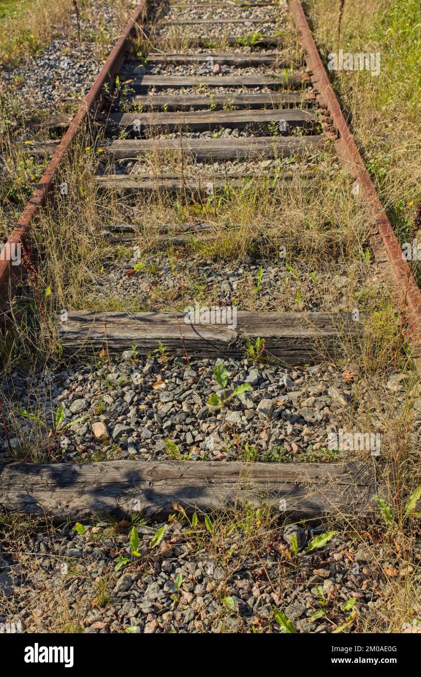 Old abandoned railroad train tracks overgrown with weeds Stock Photo - Alamy