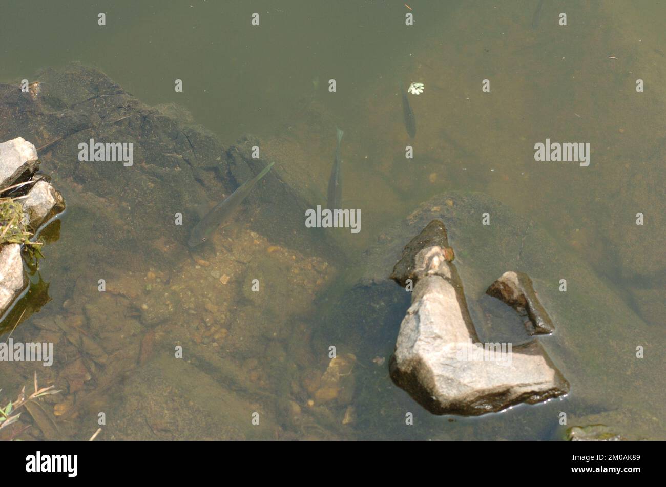 Park pic and student photo op, Claudia McMurphy , Environmental ...