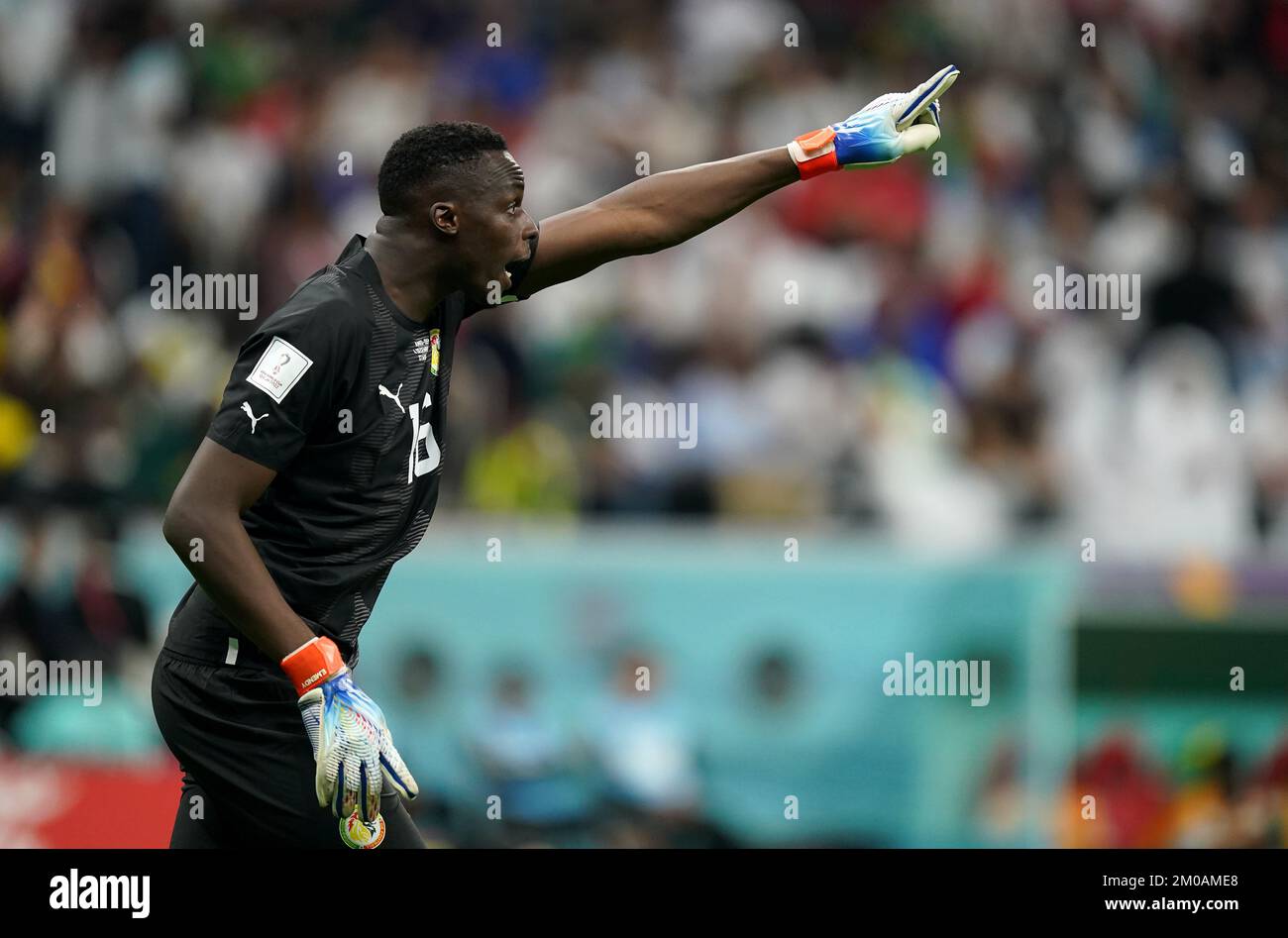 Senegal goalkeeper Edouard Mendy during the FIFA World Cup Round of ...