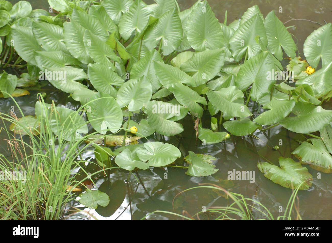 Park pic and student photo op, Claudia McMurphy , Environmental ...