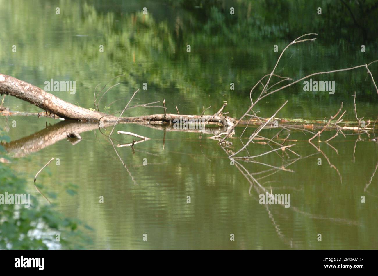 Park pic and student photo op, Claudia McMurphy , Environmental ...