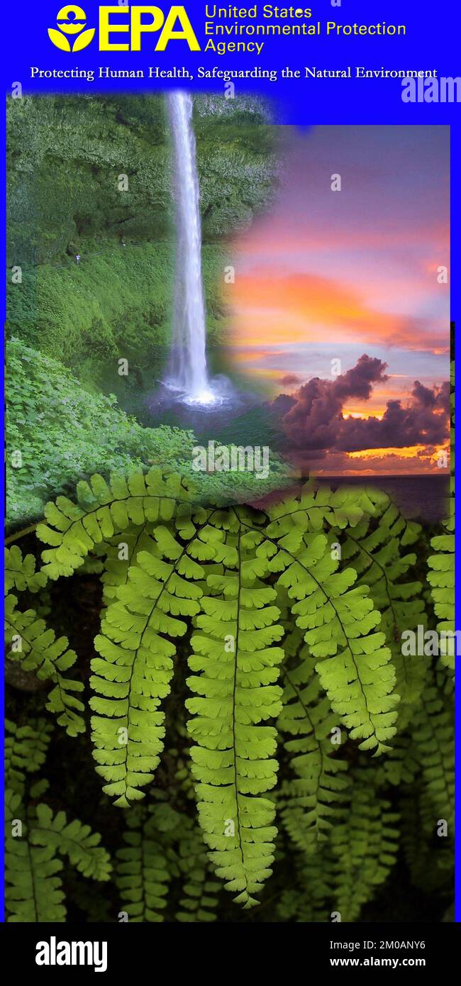 Environmental campaign visual hi-res stock photography and images - Alamy