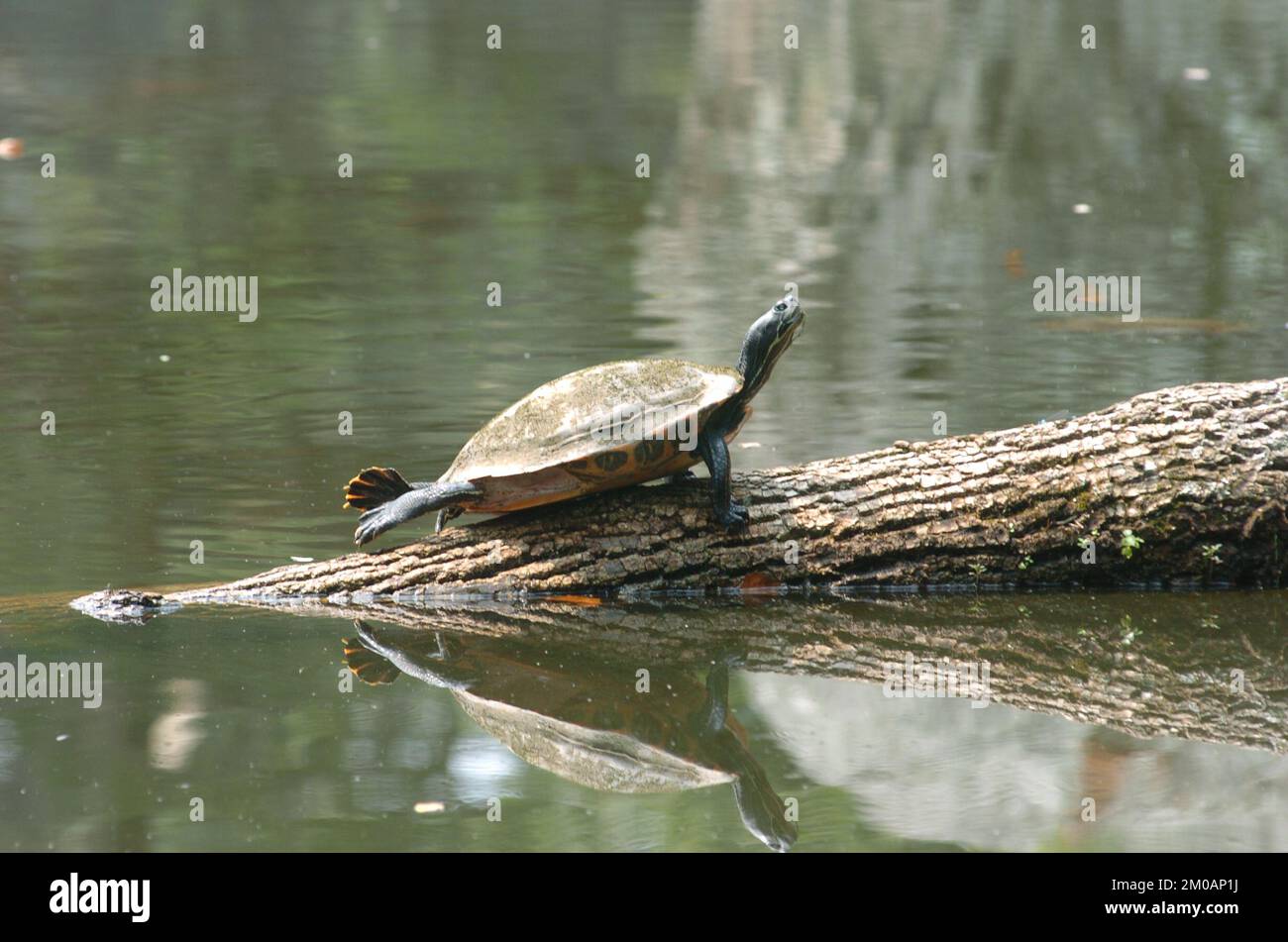 Park pic and student photo op, Claudia McMurphy , Environmental ...