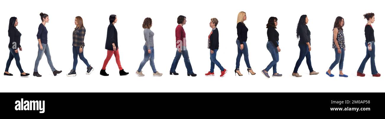 side view of group of women with jeans walk on white background Stock ...