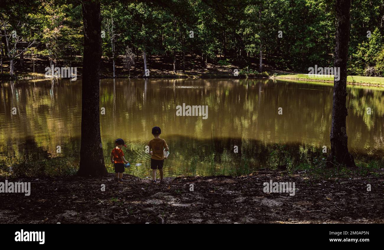 A back view of two boys looking at a muddy pond with trees reflecting ...