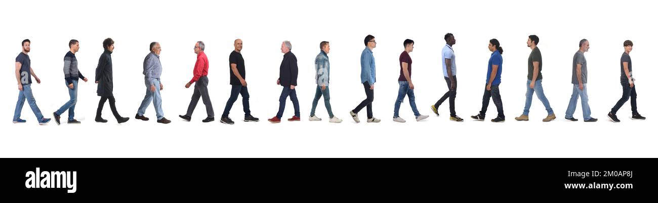 side view large group of man with jeans walking on white background ...