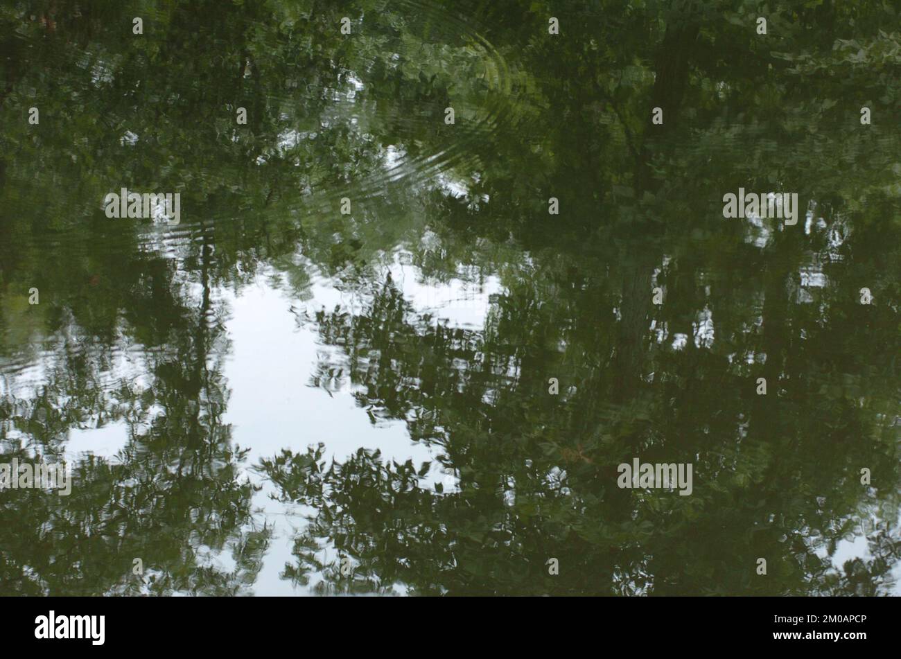 Park pic and student photo op, Claudia McMurphy , Environmental ...