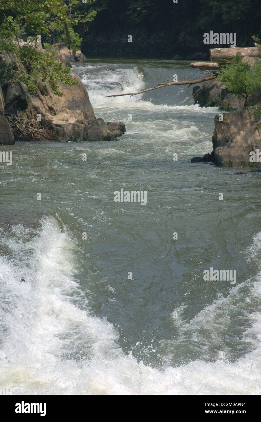 Park pic and student photo op, Claudia McMurphy , Environmental ...