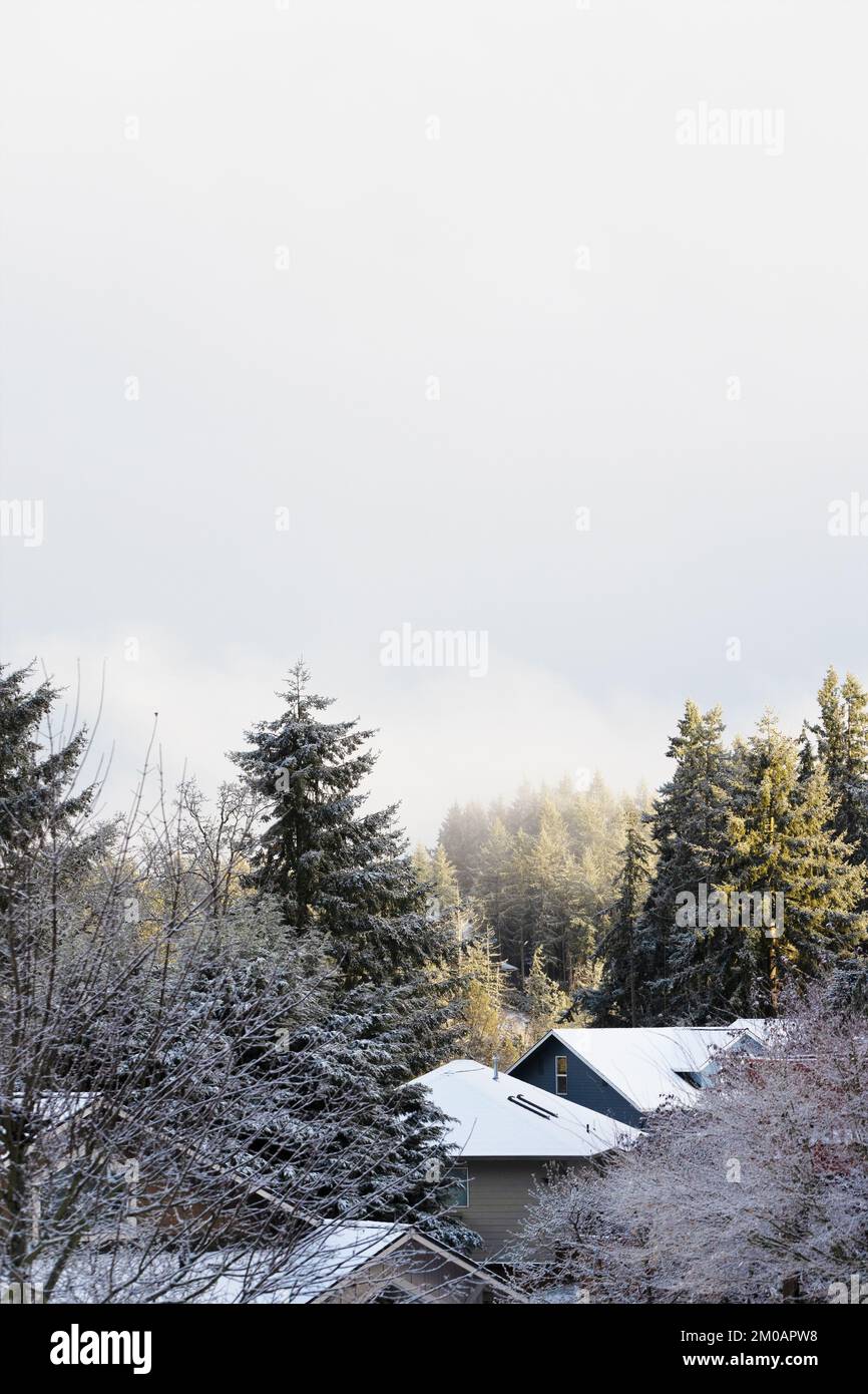 Snow covered rooftops and trees in Eugene, Oregon Stock Photo - Alamy