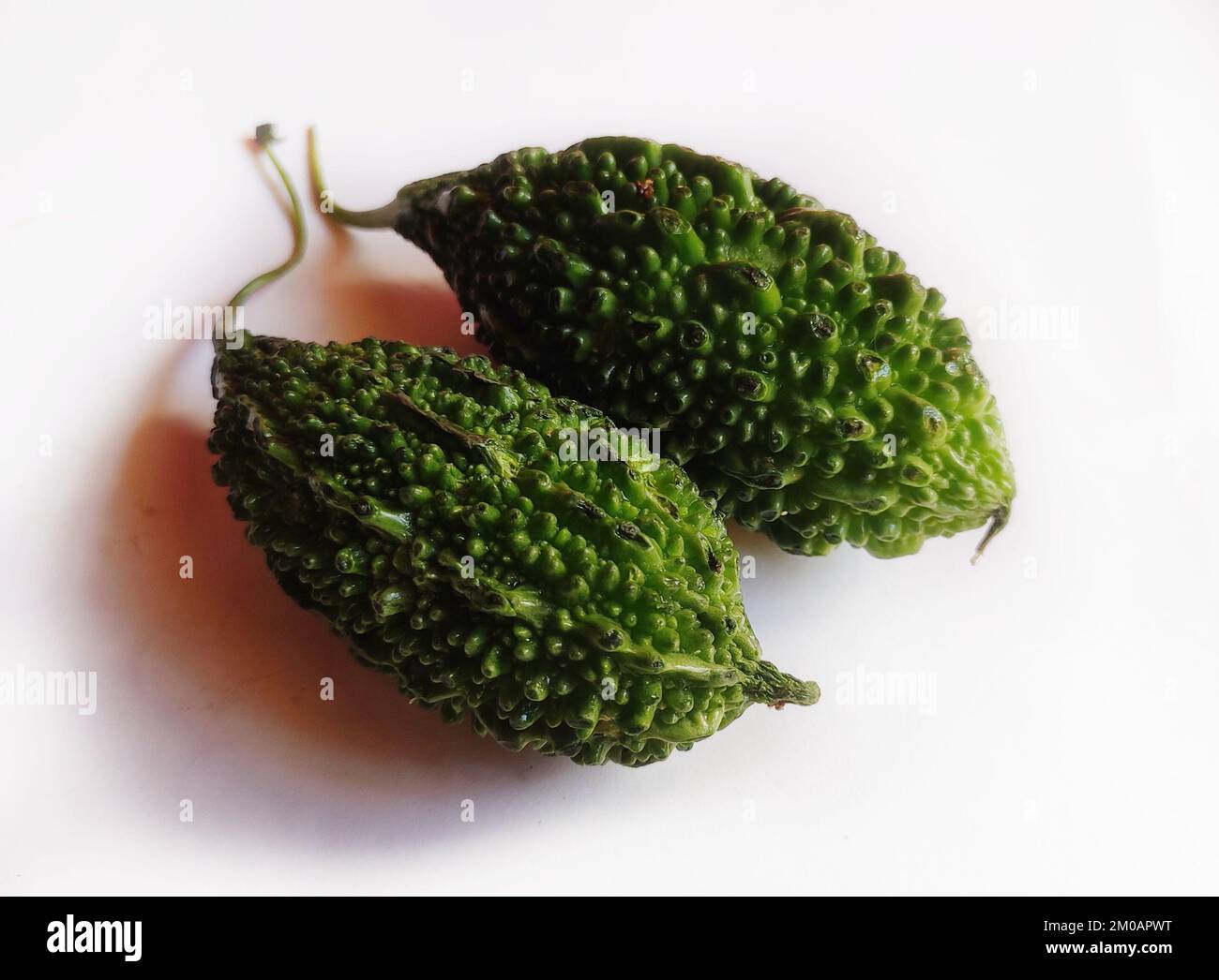 The green bitter melon plants on the white background Stock Photo - Alamy