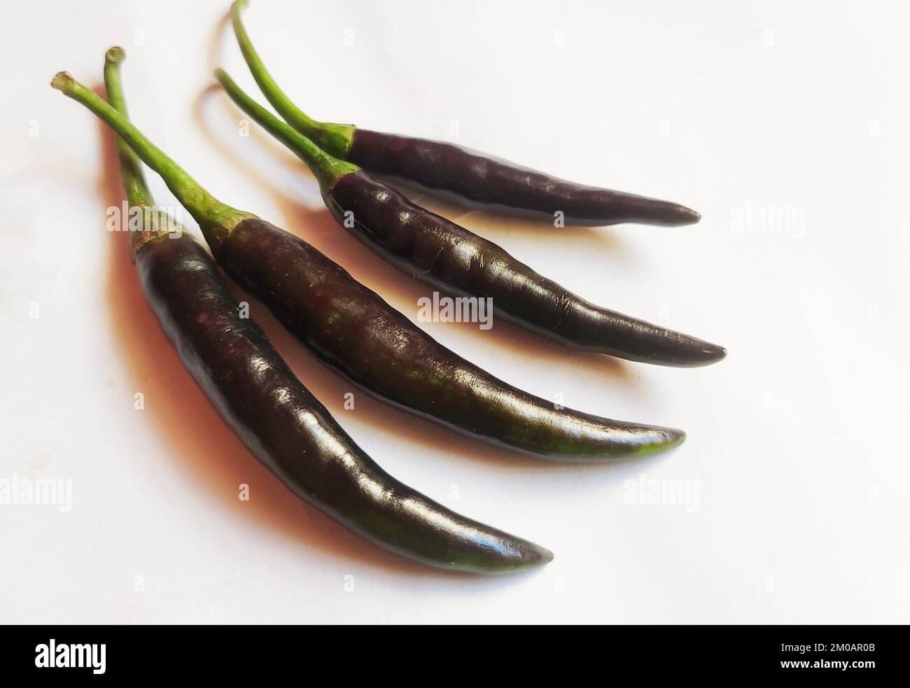 The black chili peppers on the white background Stock Photo - Alamy
