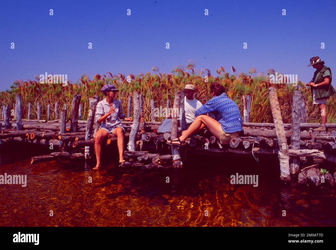Botswana: Relaxing at 3rd Bridge in the Okavango Delta swamps Stock ...