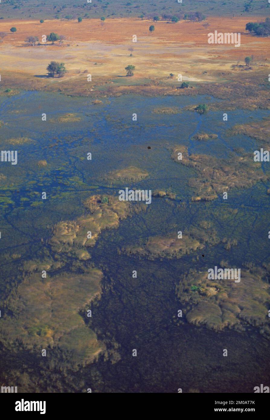 Botswana: Okavango Delta swamps in the central Kalahari Stock Photo - Alamy